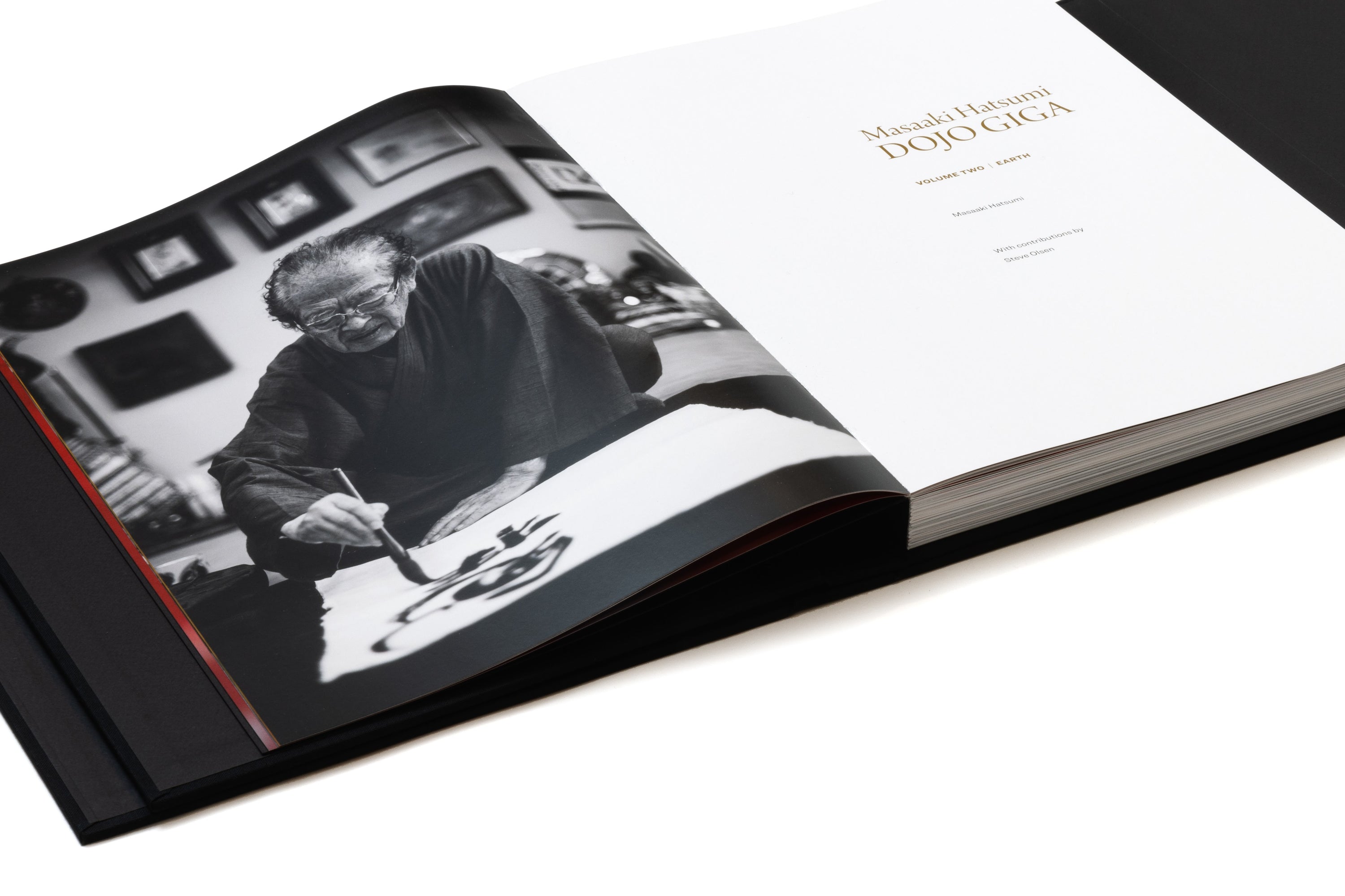 Masaaki Hatsumi: Dojo Giga｜Earth — Available Now – Dojo Art Books
