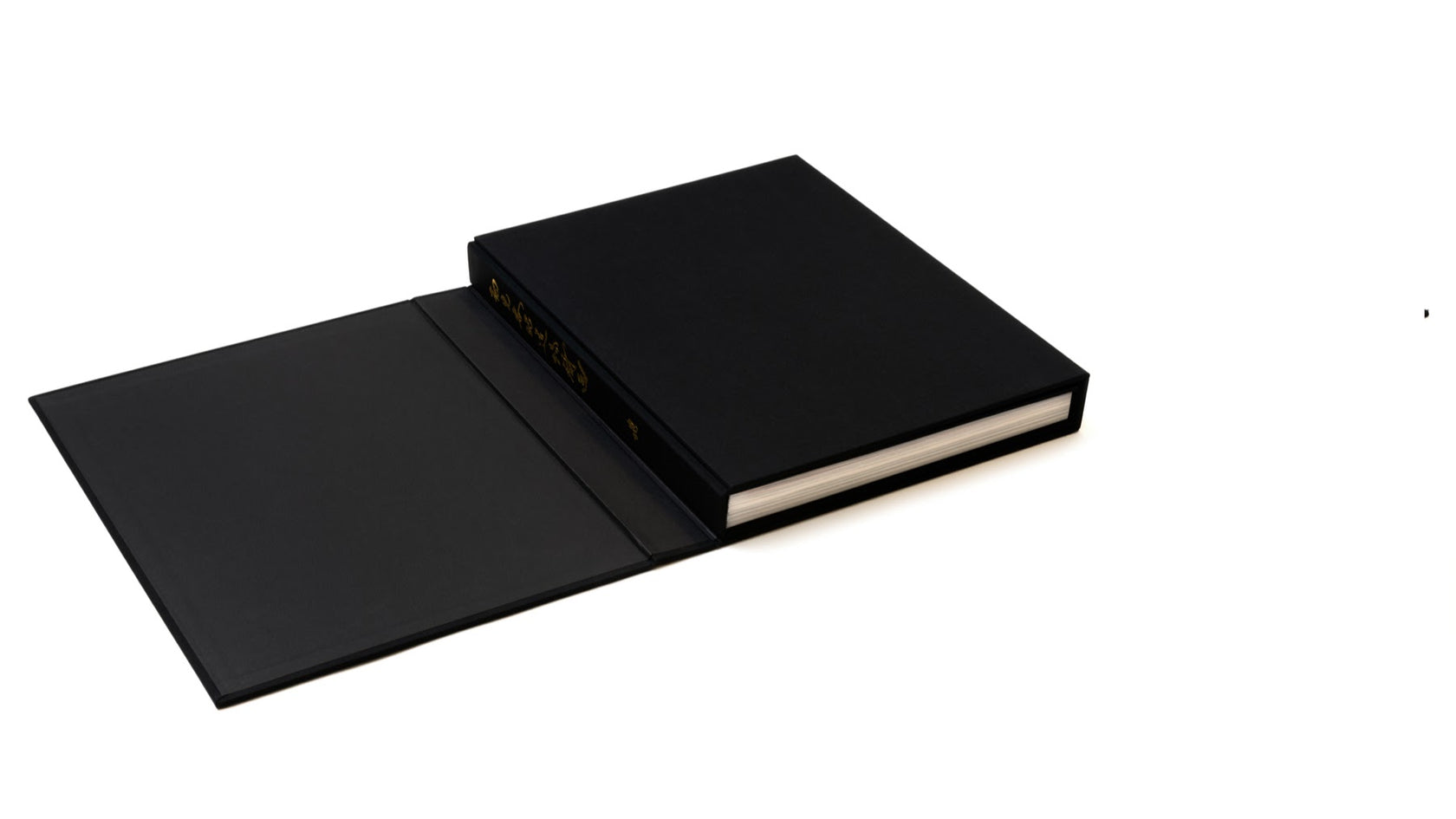 Dojo Art Books | The art of martial arts master, Masaaki Hatsumi